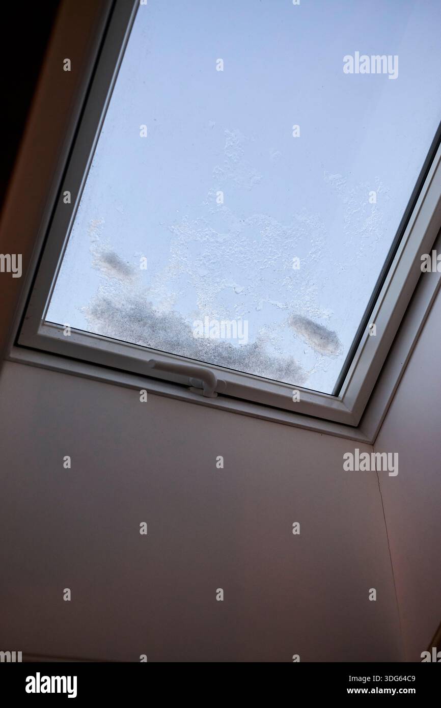 Close-up of a roof window installed in a ceiling, allowing natural ...