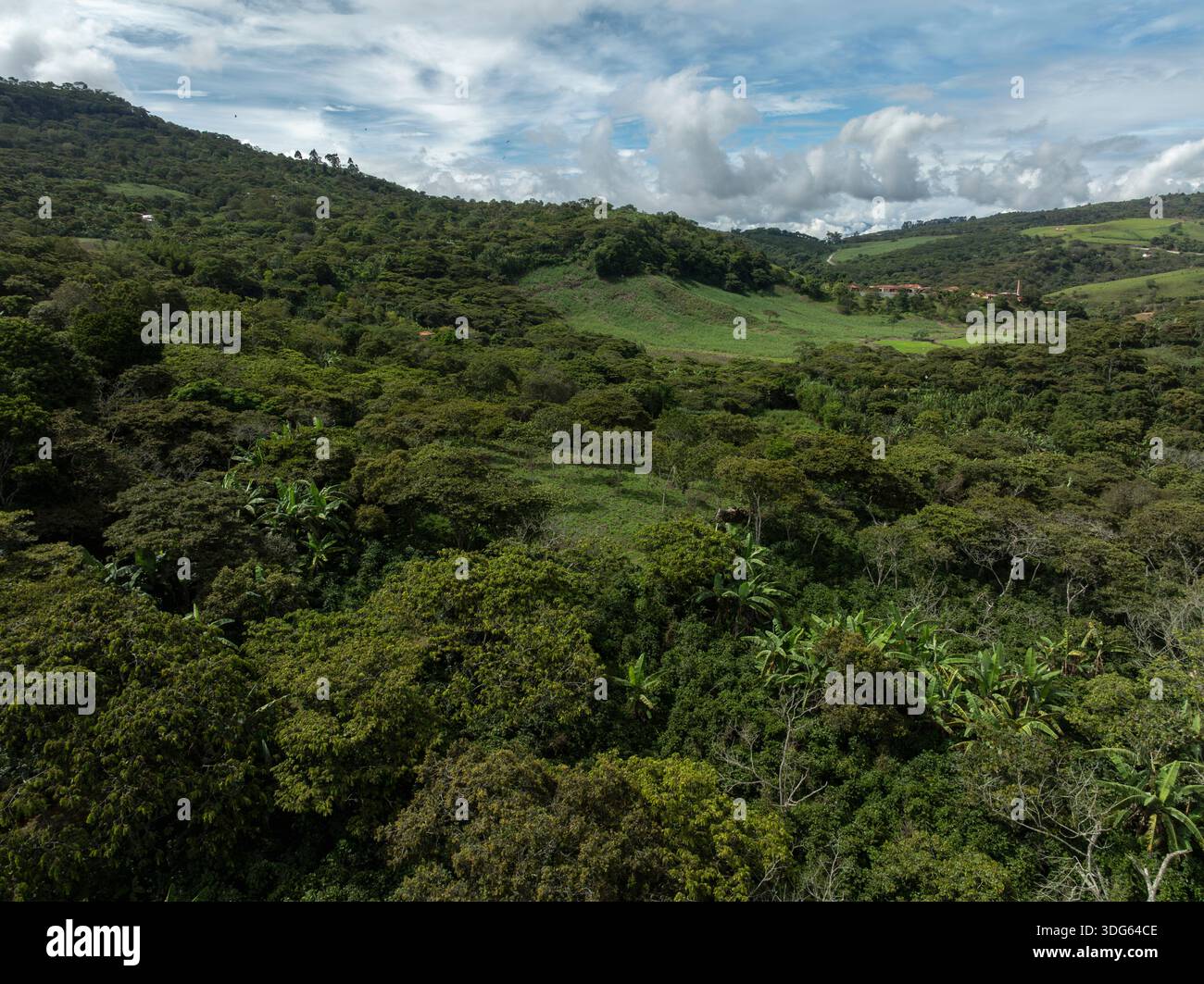 Lush green forest landscape with rolling hills under a partly cloudy ...