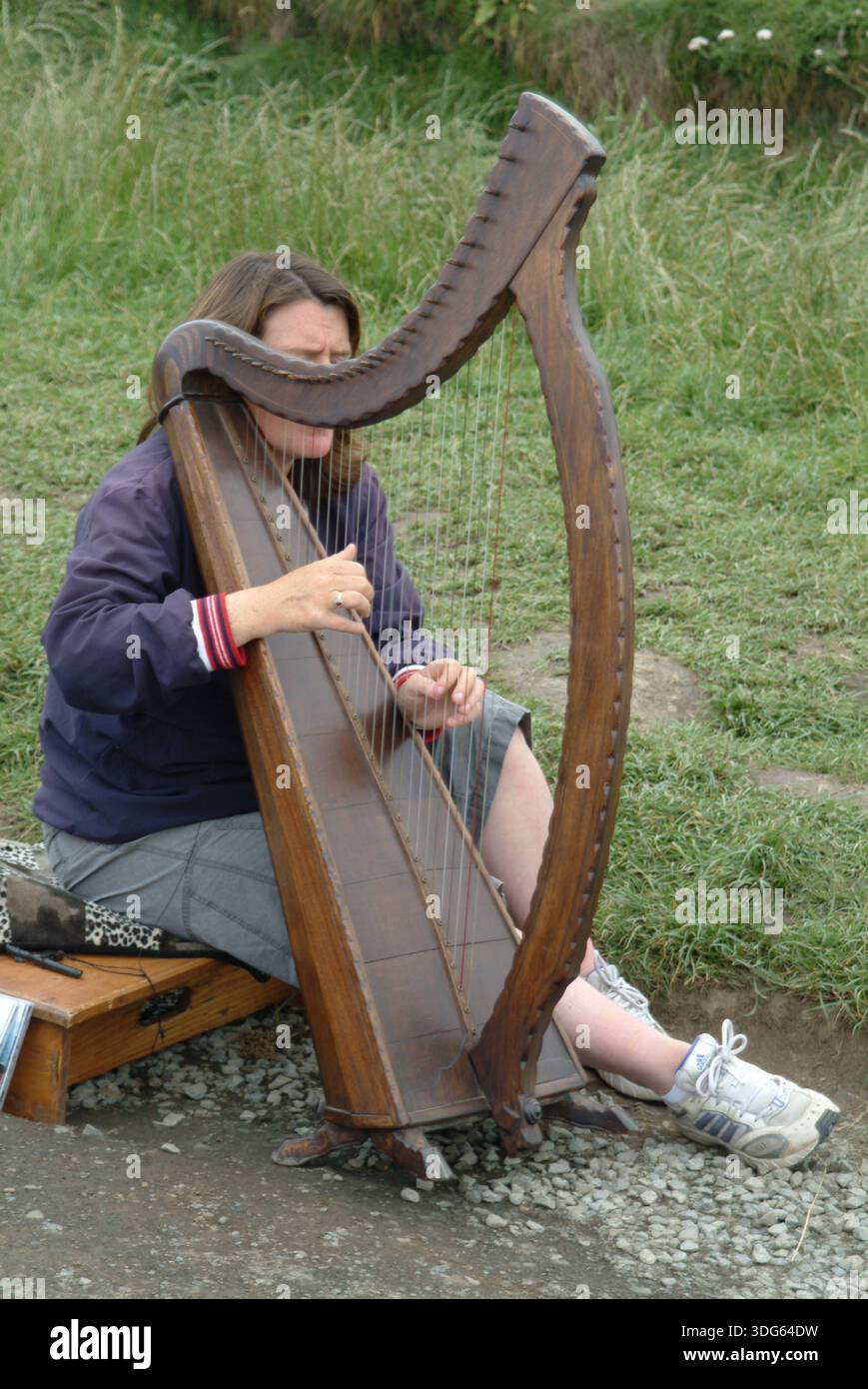 Irish Harp, The Celtic harp, triangular frame harp, cláirseach ...