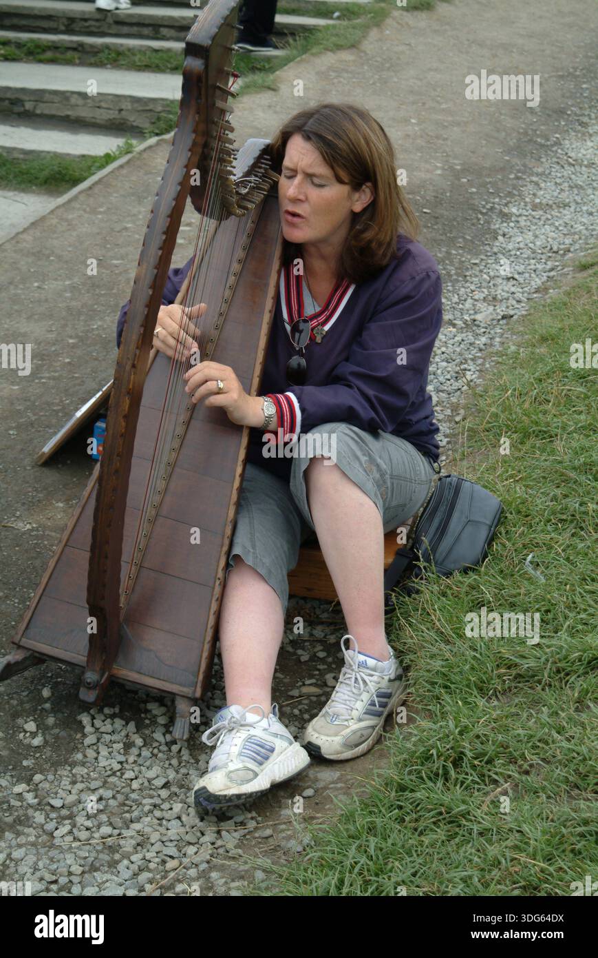 Irish Harp, The Celtic harp, triangular frame harp, cláirseach ...
