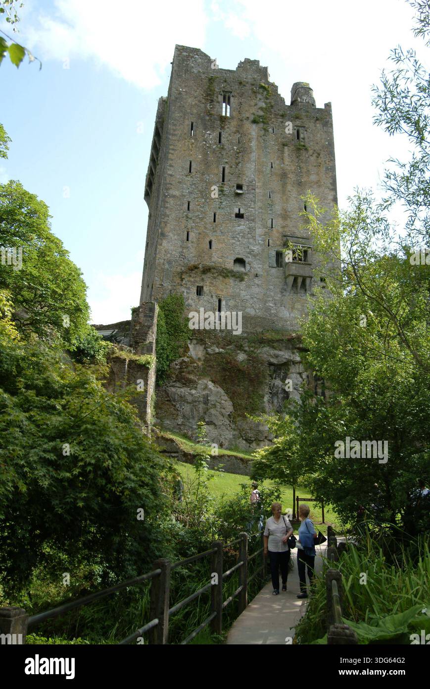 Blarney Castle is a medieval stronghold in Blarney, a town in Cork ...
