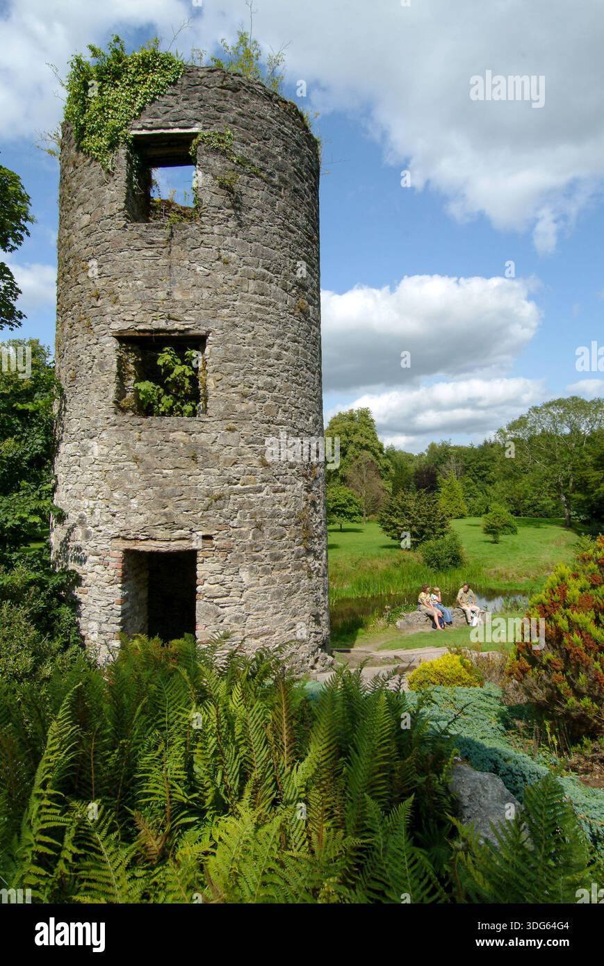 Blarney Castle medieval stronghold in County Cork, Republic of Ireland ...
