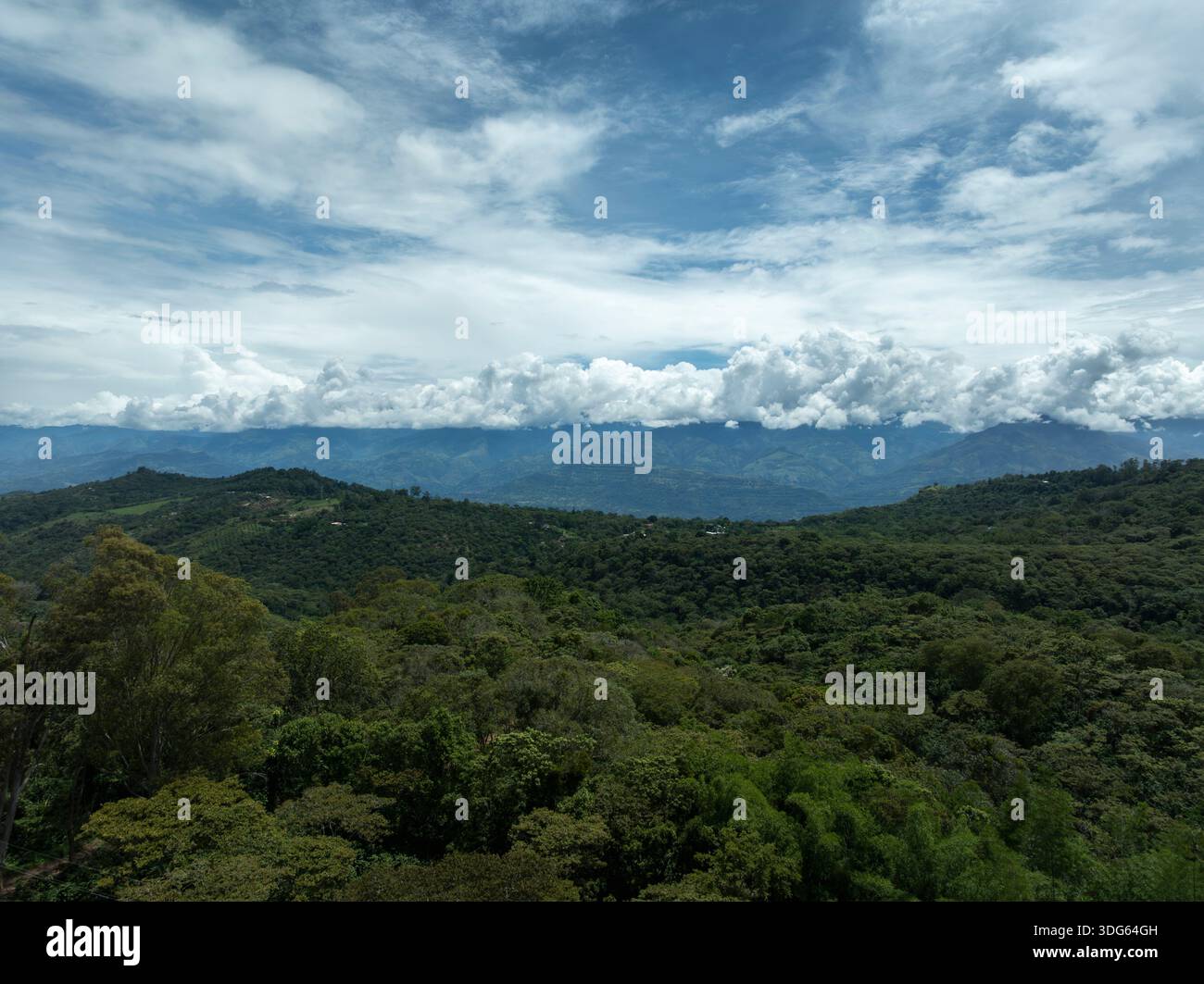Lush green forest landscape with rolling hills under a partly cloudy ...