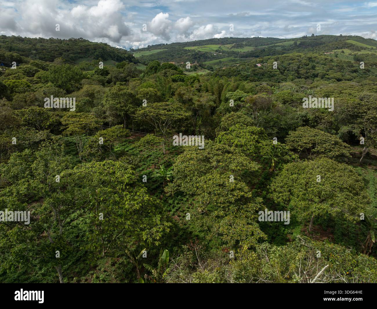 Lush green forest landscape with rolling hills under a partly cloudy ...