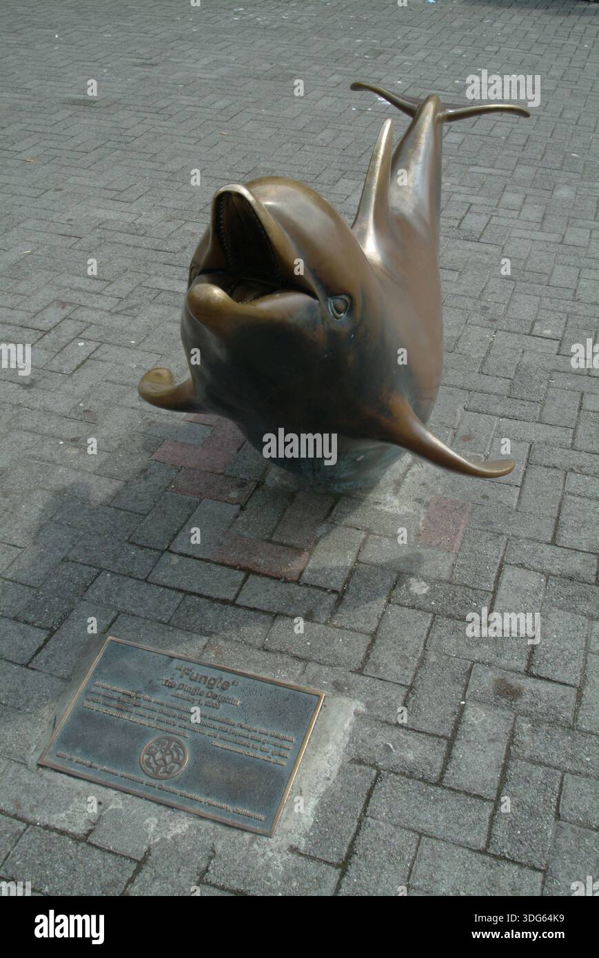 Fungi the dolphin memorial statue, Dingle. - County Kerry, Ireland ...