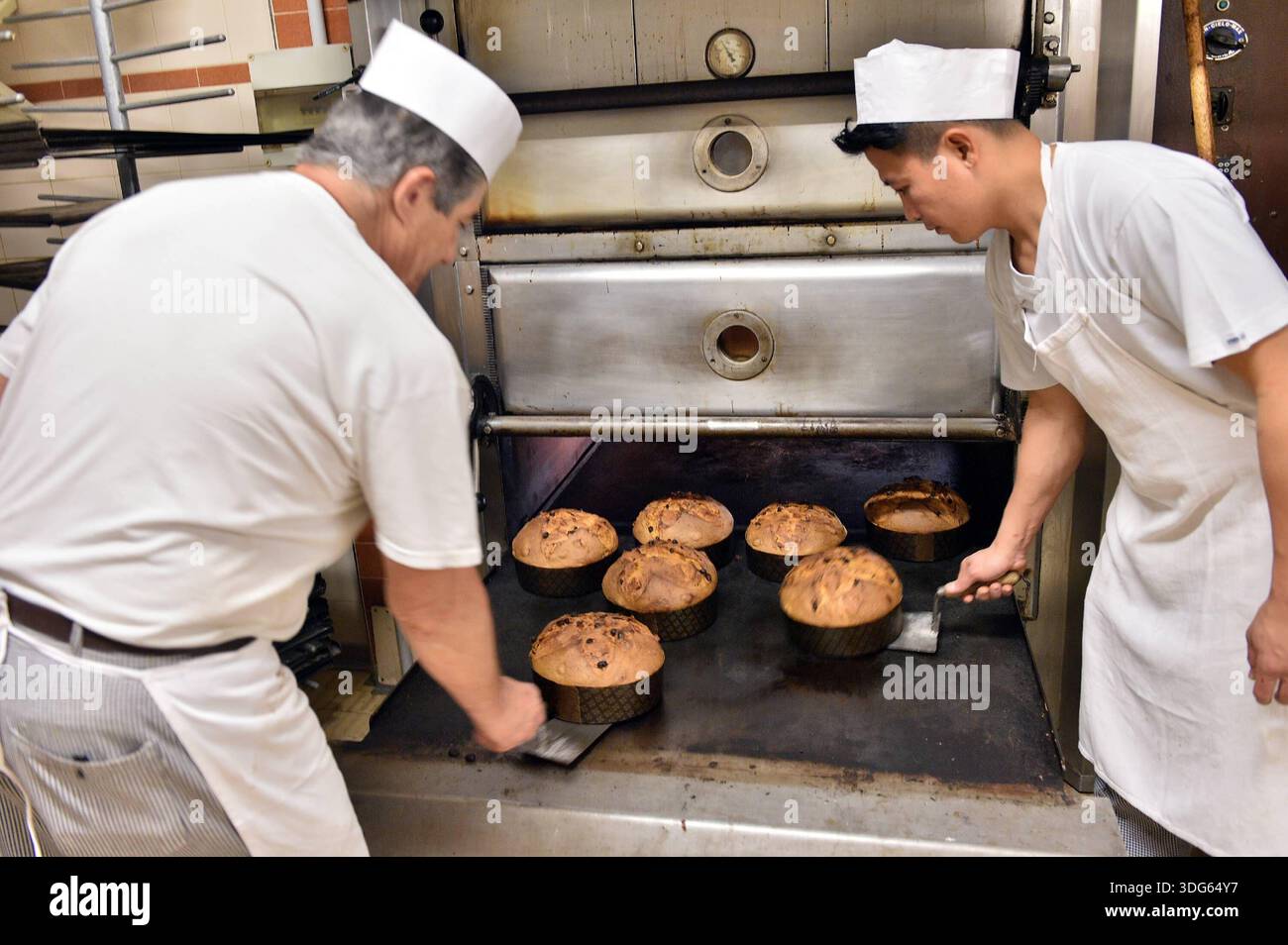 MILAN - ARTISAN PANETTONE MAKING AT THE GATTULLO PASTRY SHOP IN ...