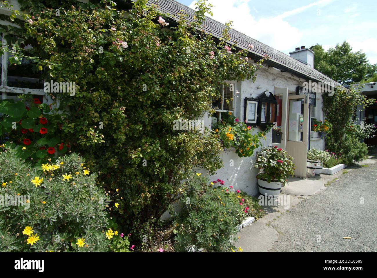 Kate Kearney's Cottage building exterior. - County Kerry, Ireland : May ...