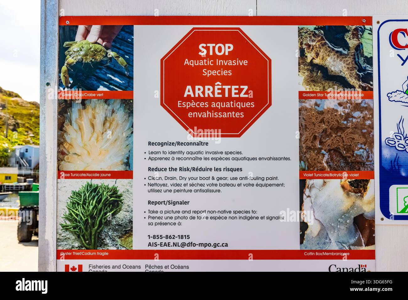 Tunicate and boat hi-res stock photography and images - Alamy