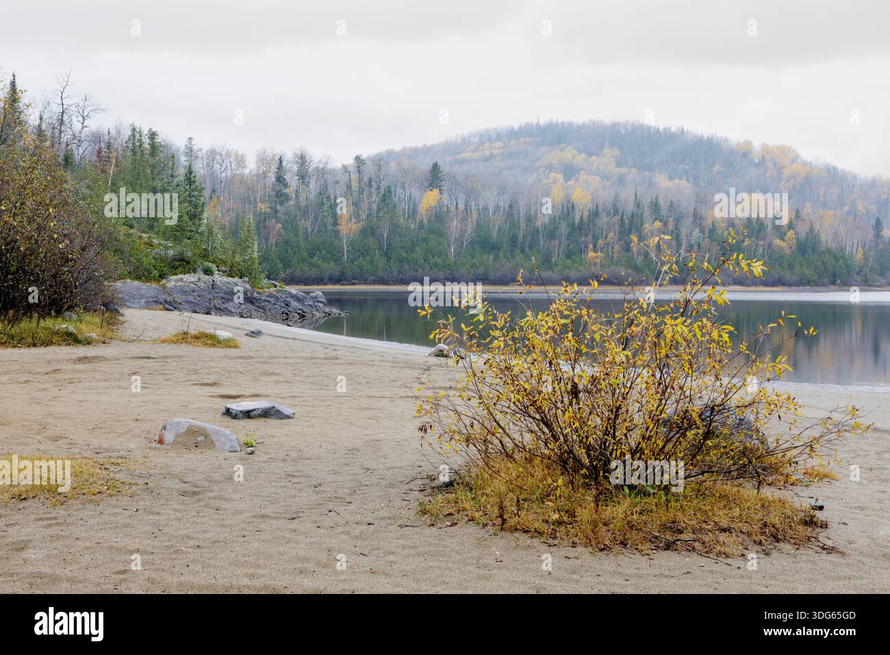 Serene sandy beach with autumn foliage near a calm lake and forested ...