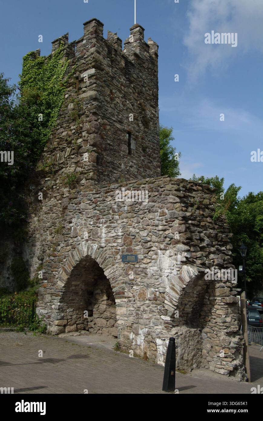 Old tower, Waterford, a seaport in southeast Ireland. - County ...