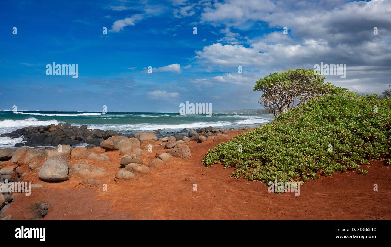 Vibrant rocky shoreline with lush green bushes under a bright blue sky ...