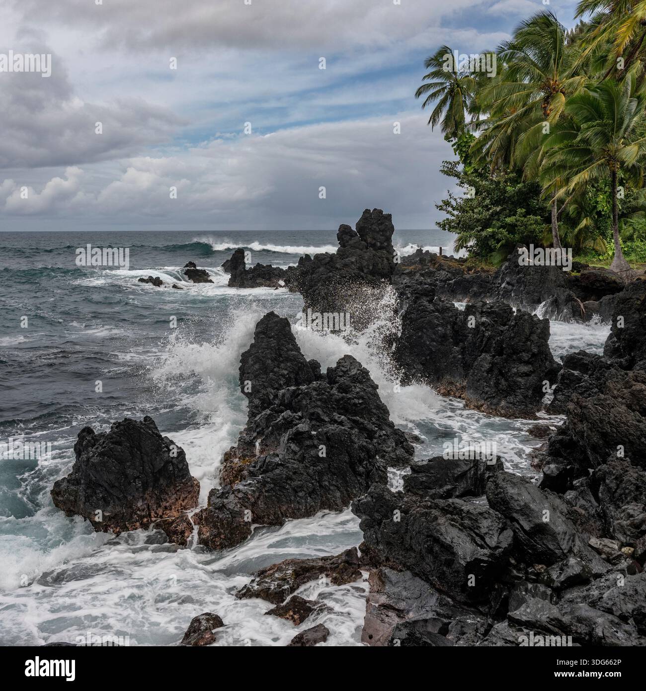 Rugged black volcanic rocks on a lush tropical coastline with waves ...