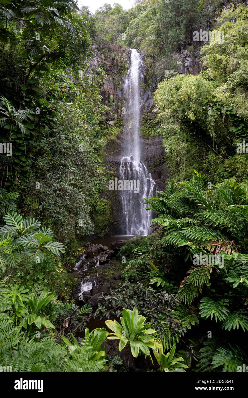 Lush waterfall cascades down a rocky cliff surrounded by dense green ...