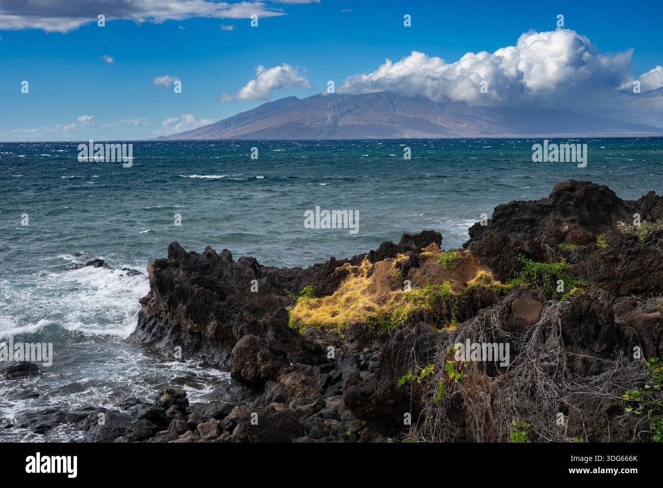 Rocky coastline with lush greenery against a blue ocean and cloudy ...