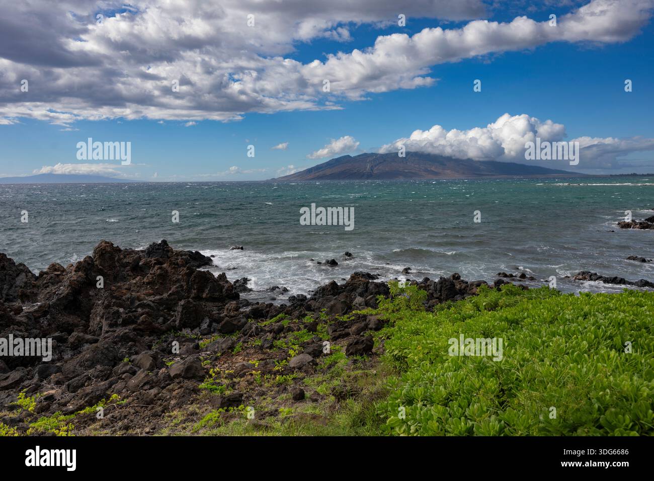 Rugged coastline with lush greenery and distant mountain under a bright ...