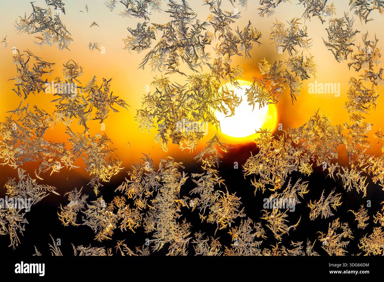 Frost patterns on a window against a vibrant orange sunrise or sunset ...