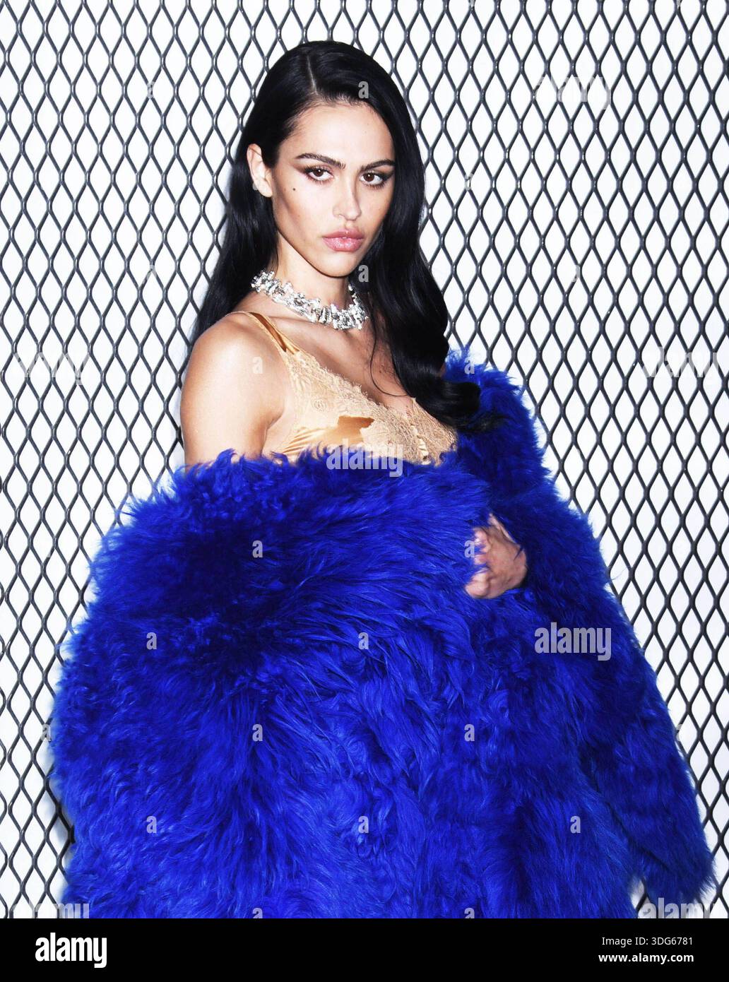 Photo by: Patricia Schlein/STAR MAX/IPx 2026 1/14/26 Amelia Gray is ...