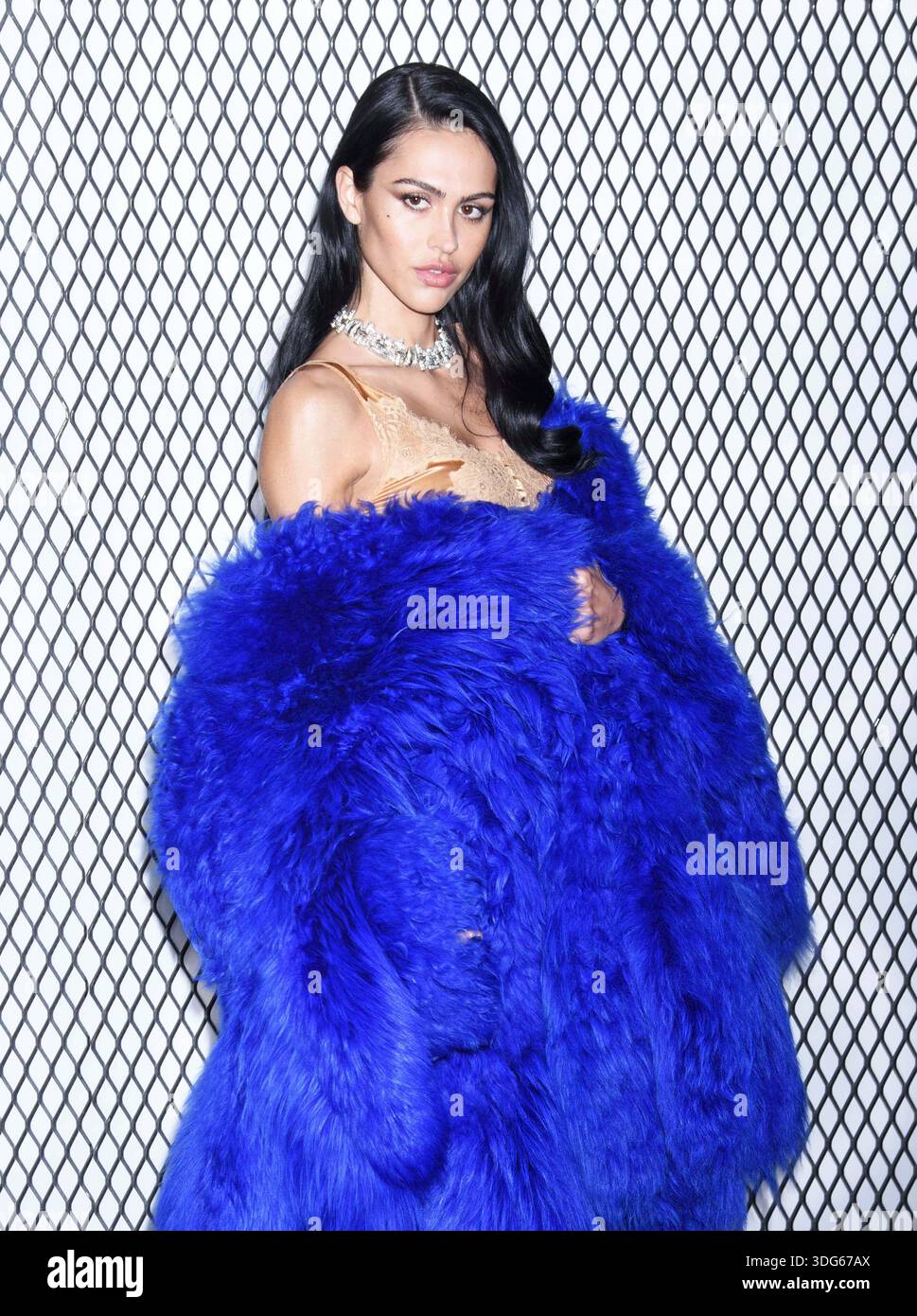 Photo by: Patricia Schlein/STAR MAX/IPx 2026 1/14/26 Amelia Gray is ...