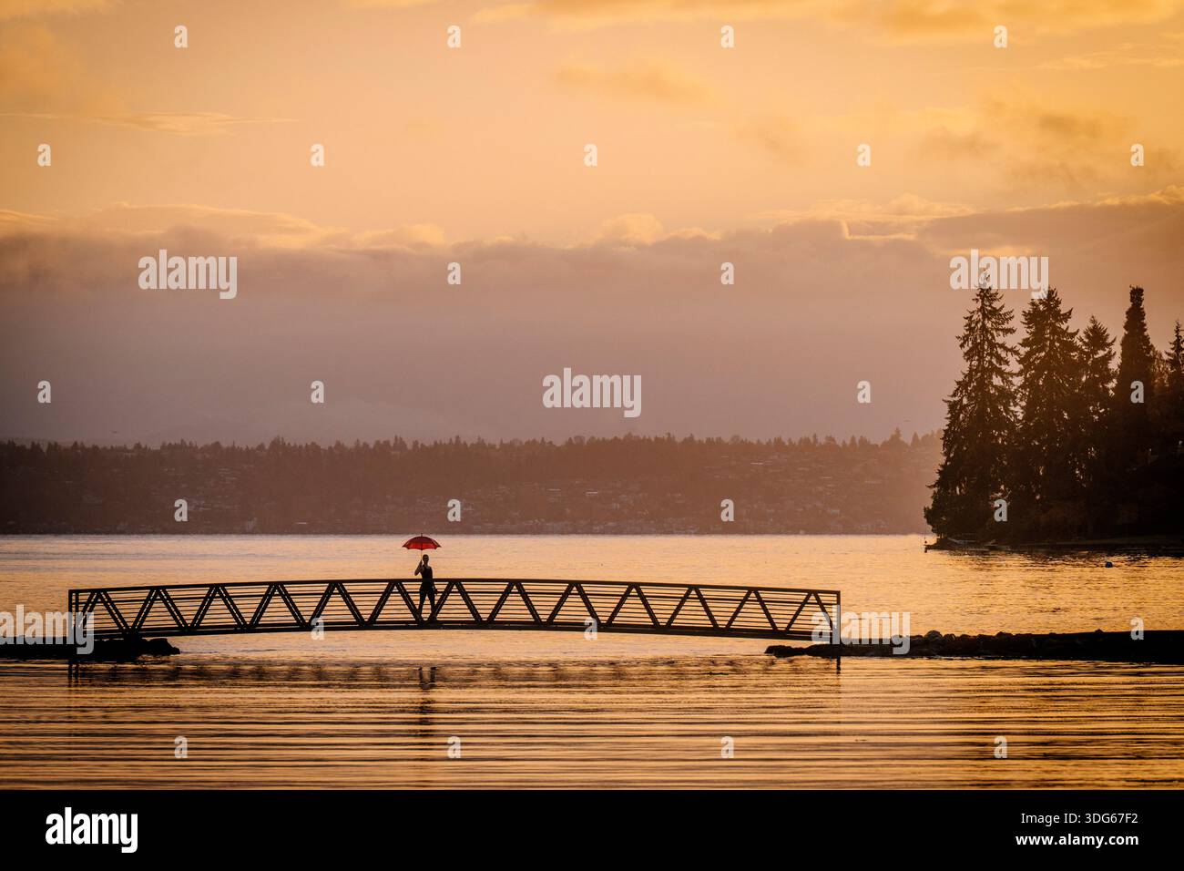 A person with a red umbrella walks across a bridge at sunset with trees ...