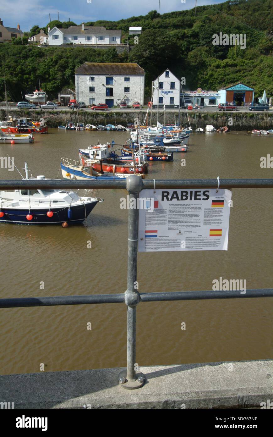 Rabies prevention import warning sign on harbour railing with boats ...