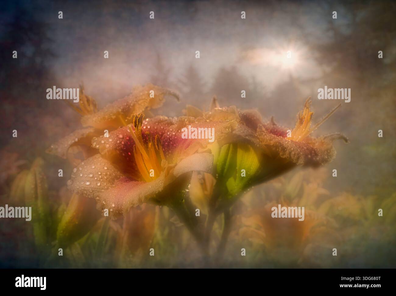 Dreamlike lilies with dewdrops in a mystical garden under soft sunlight ...