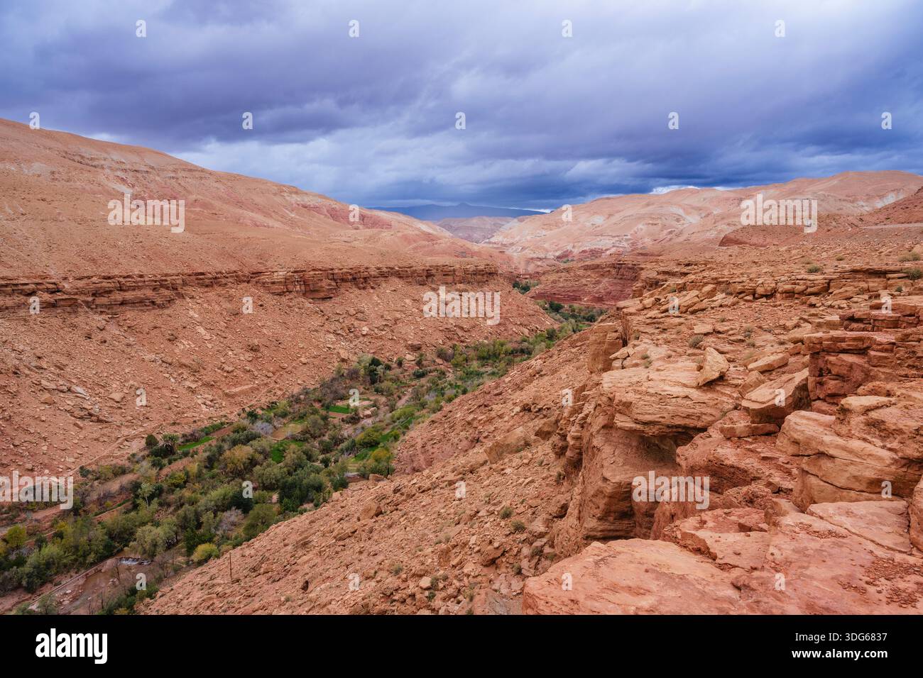 Majestic desert canyon with rocky formations and greenery under cloudy ...