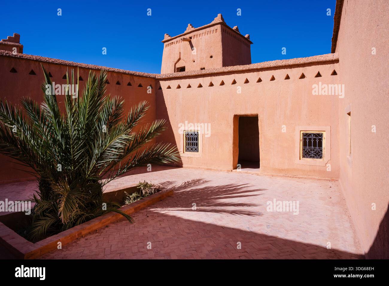 A sunlit courtyard with a palm tree and adobe walls under a clear blue ...