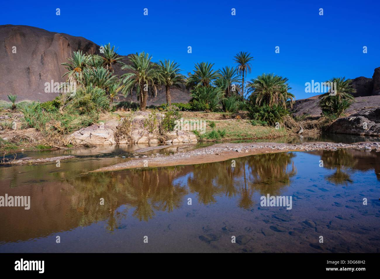 Rocky landscape with lush palm trees and a reflective water body under ...