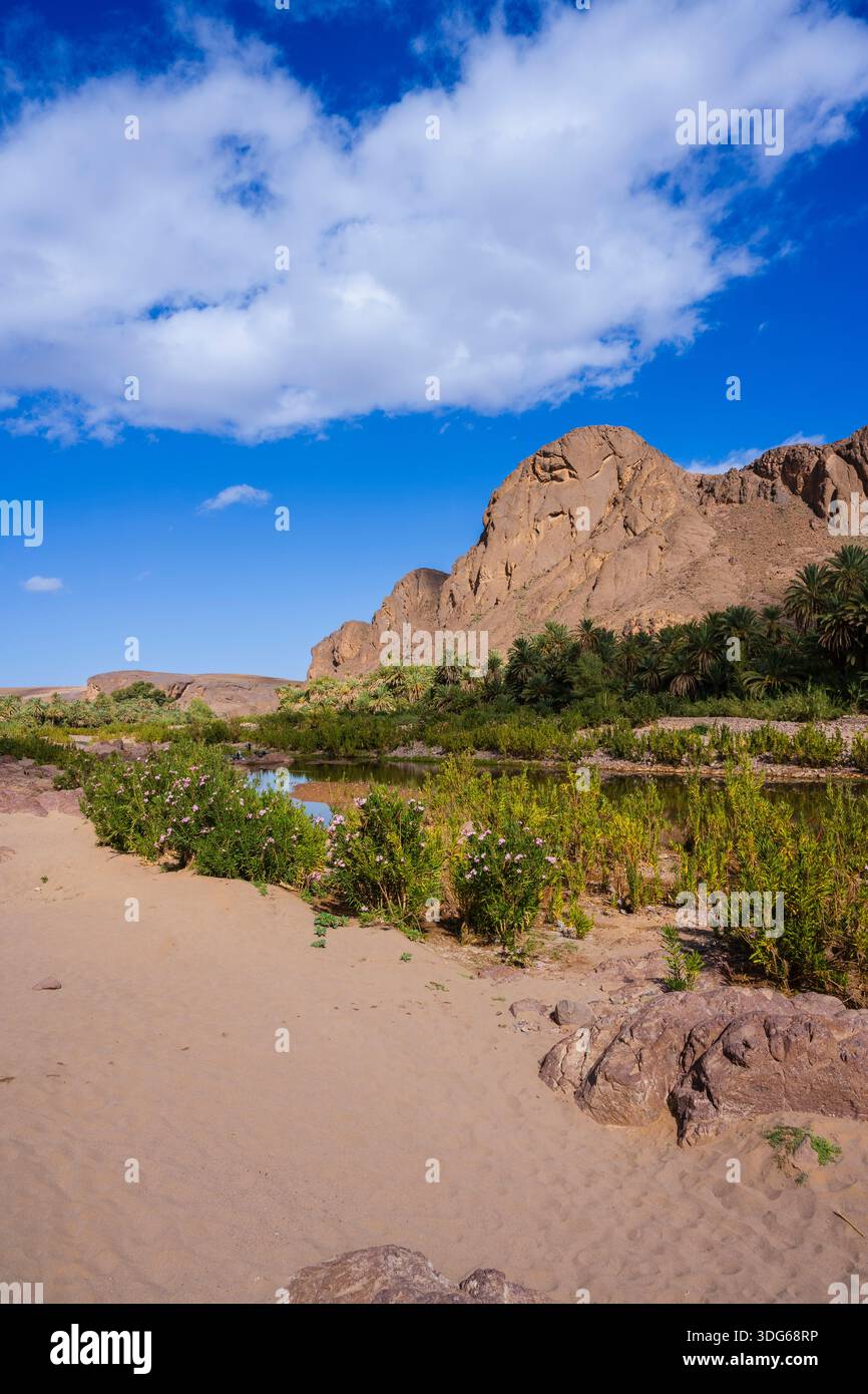 A serene desert landscape with rocky hills, sparse vegetation, and a ...