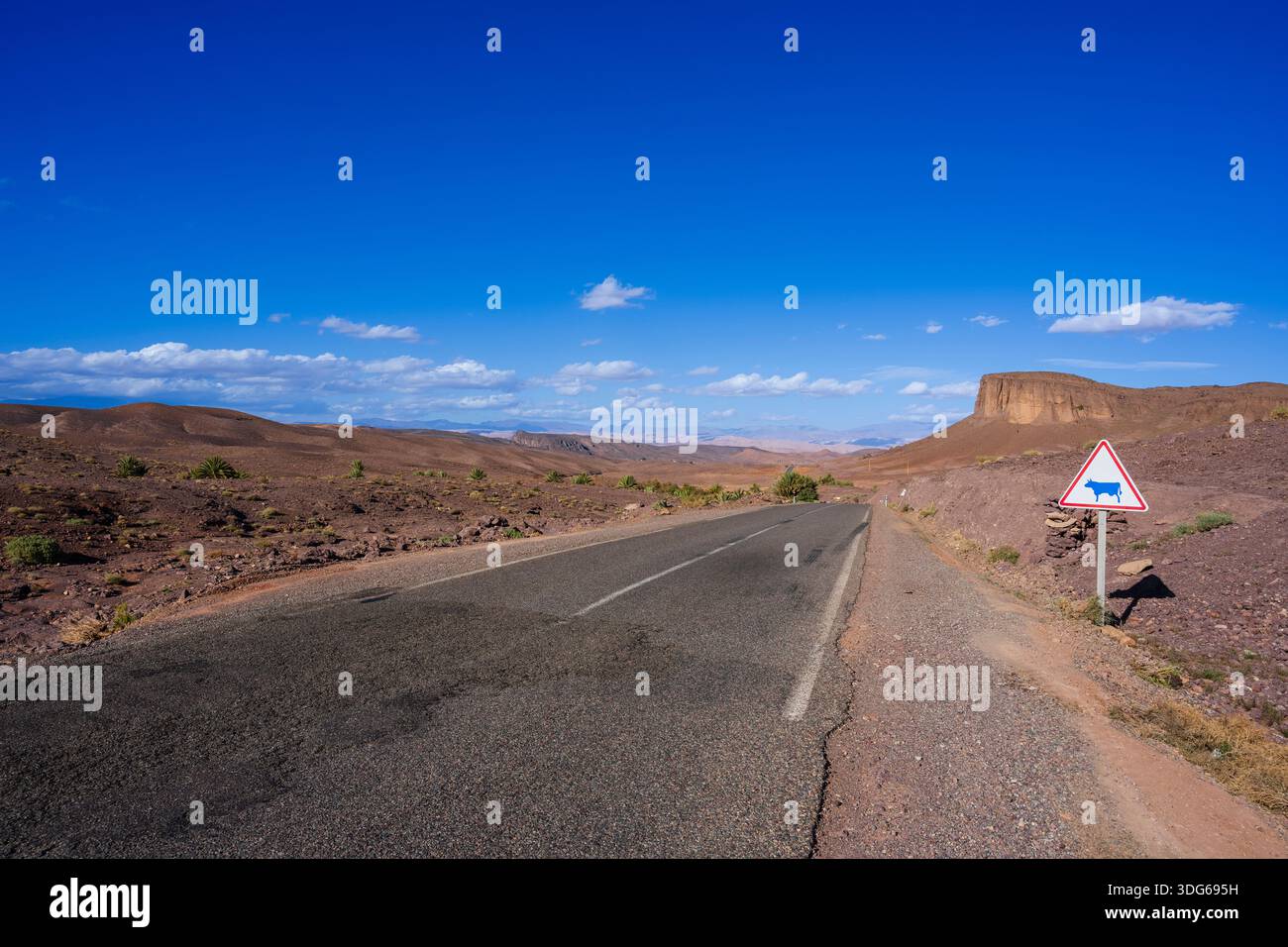 Open desert road under a clear blue sky with a distant mountain and ...