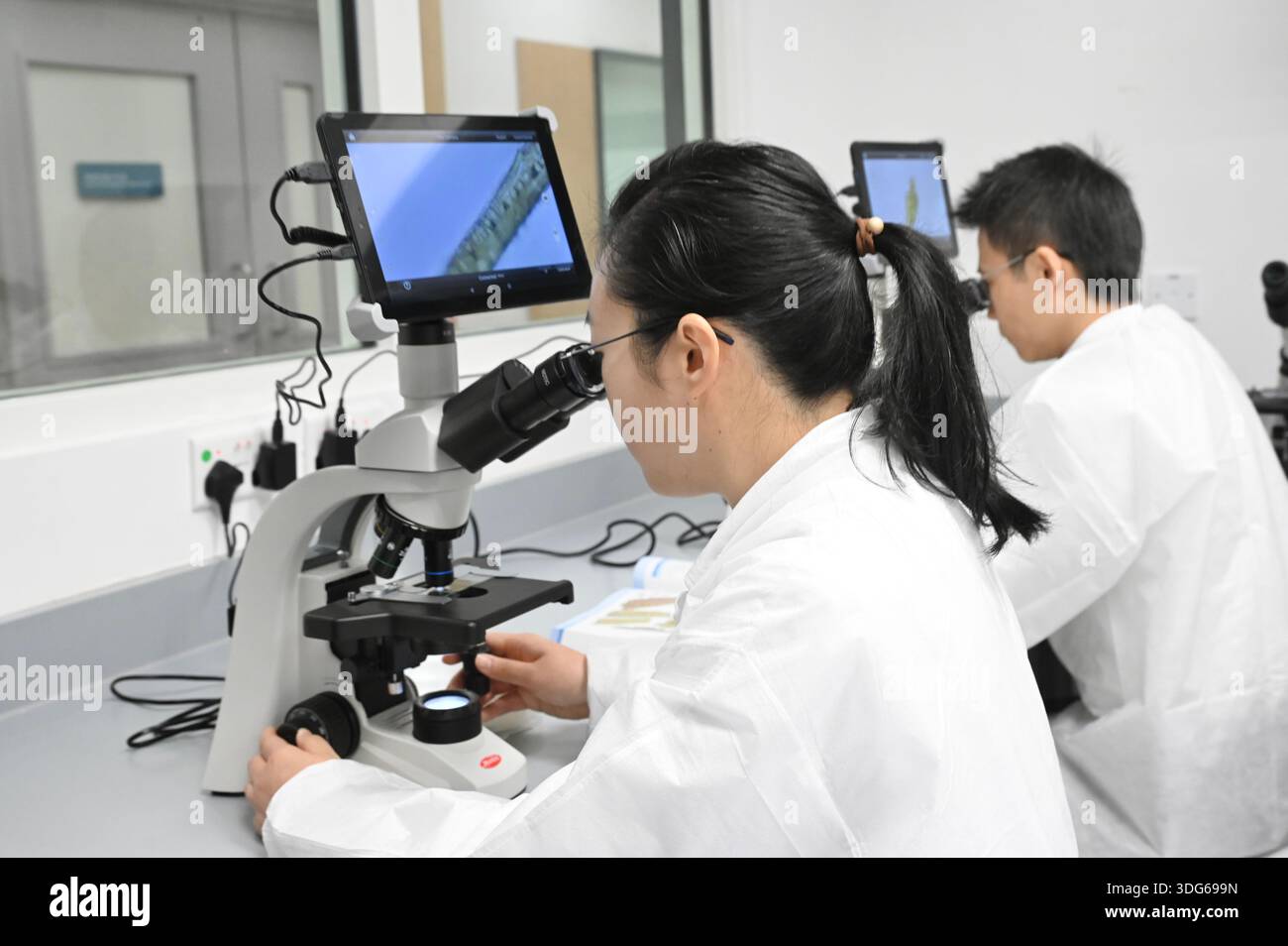 A general view showing the staff working in the lab of Government ...