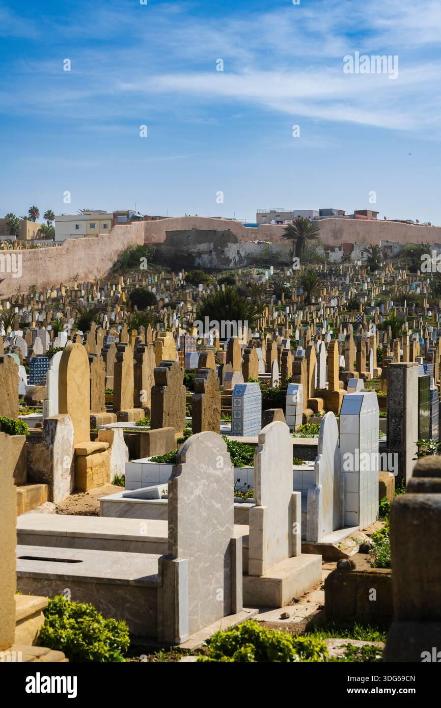 Rows of diverse gravestones in a large cemetery under a clear blue sky ...