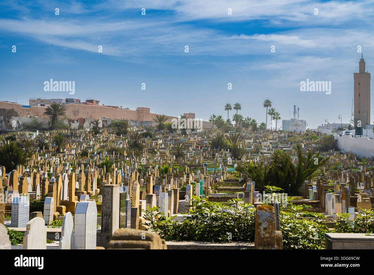 Expansive cemetery with diverse tombstones under a clear blue sky ...