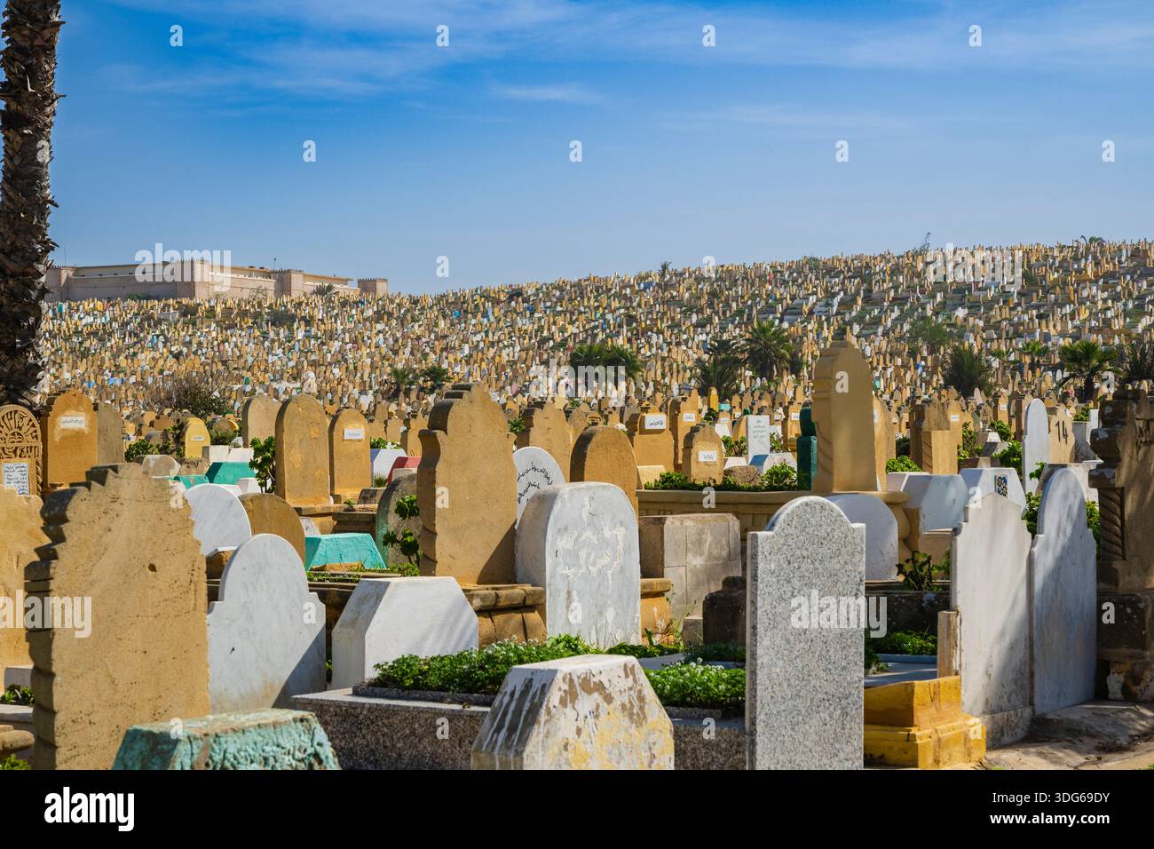 Vast cemetery landscape under a blue sky with numerous gravestones ...