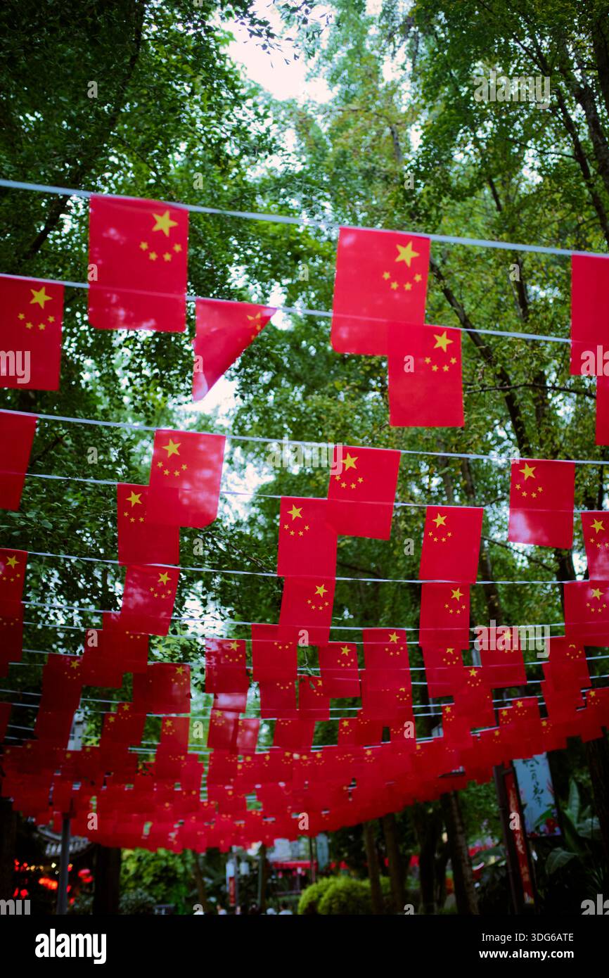 Red flags with yellow stars hang on strings among green trees in an ...