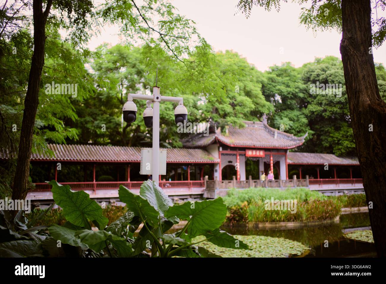Traditional Chinese garden with a pavilion, pond, and lush greenery ...
