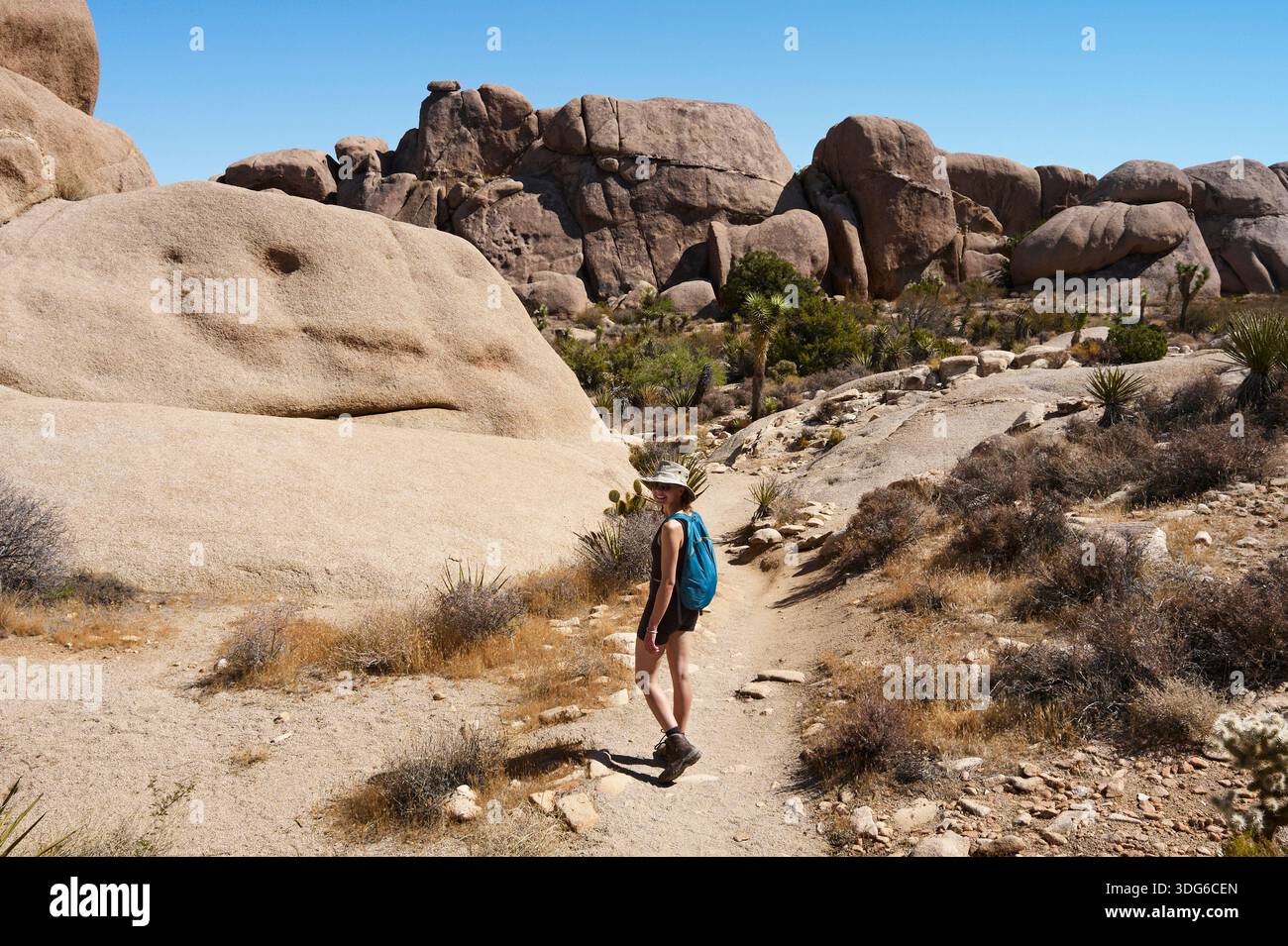 A hiker walks through a rocky desert landscape under a clear blue sky ...