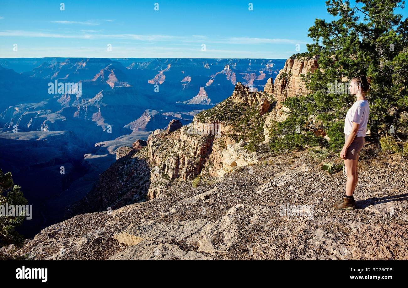 A person overlooks a vast canyon landscape under a clear blue sky in a ...