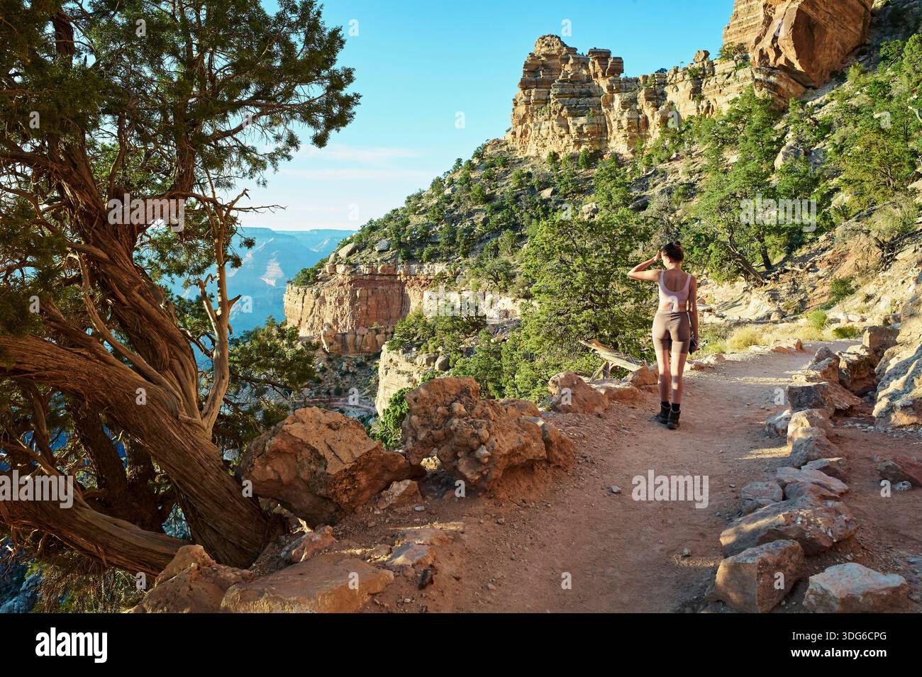 A lone hiker on a trail with stunning canyon views and rugged rocky ...
