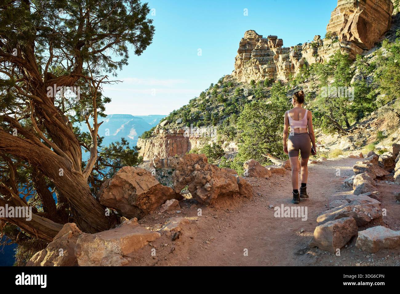 Woman hiking on a rocky trail with canyon views and greenery under a ...