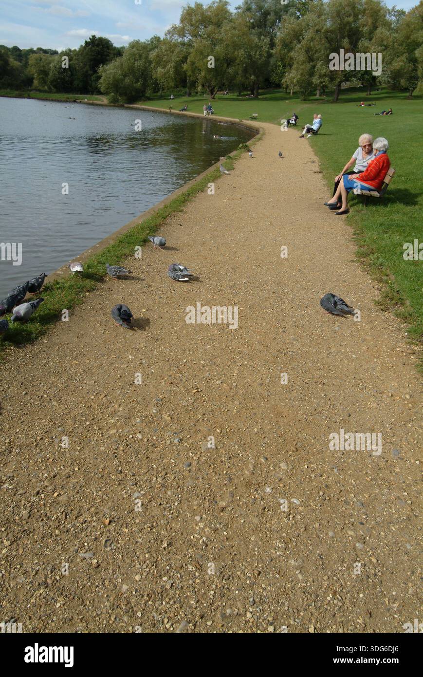 Highgate ponds path on a sunny day in Summer. - Haringey, United ...