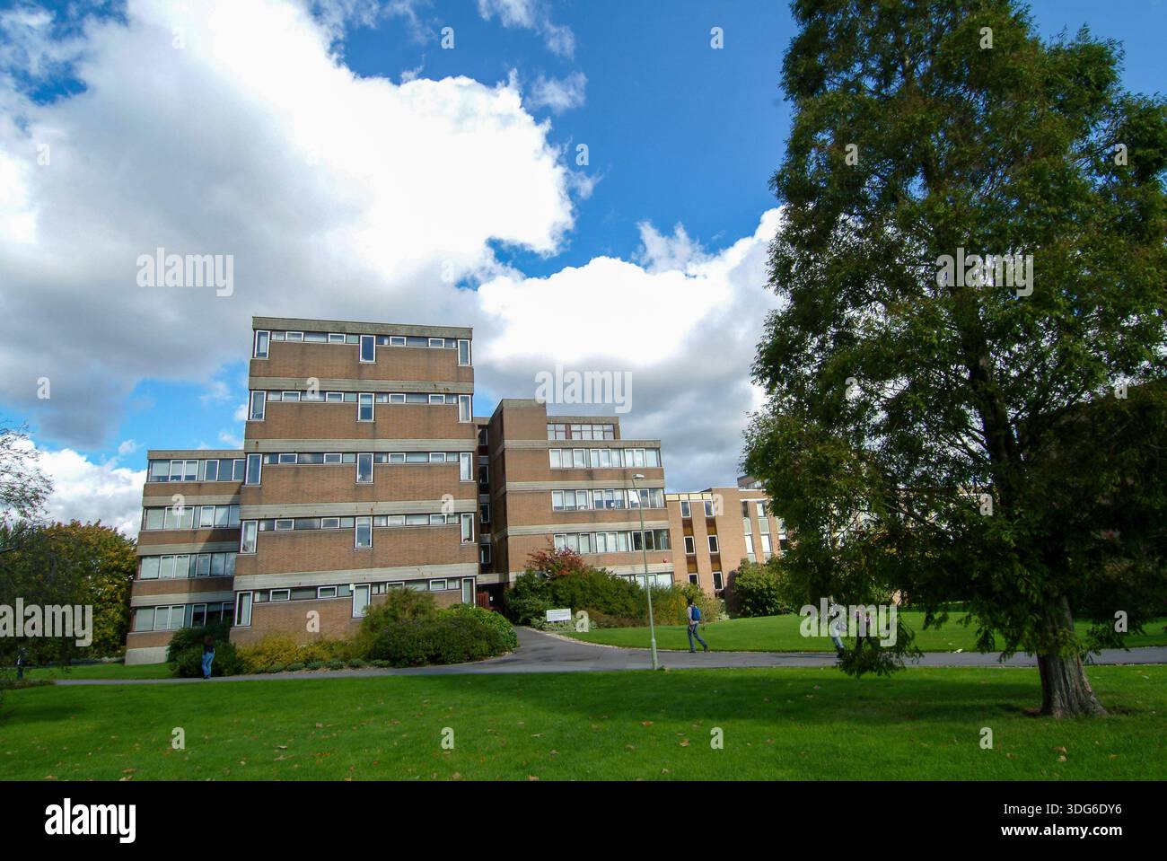 Reading University Berkshire, Thames Valley,. - Reading - England ...