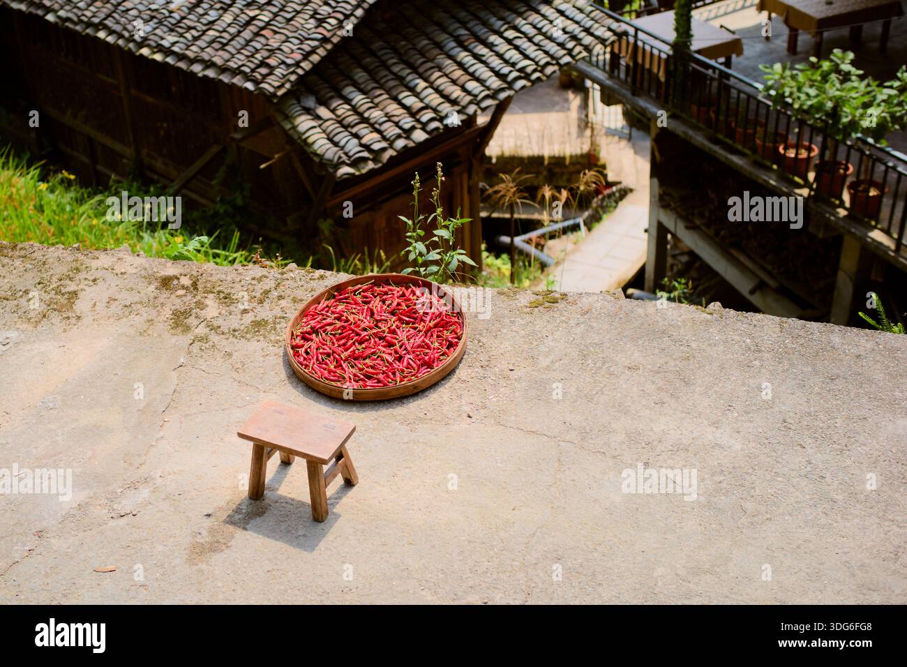 A round tray of red chili peppers drying on a sunlit stone terrace ...