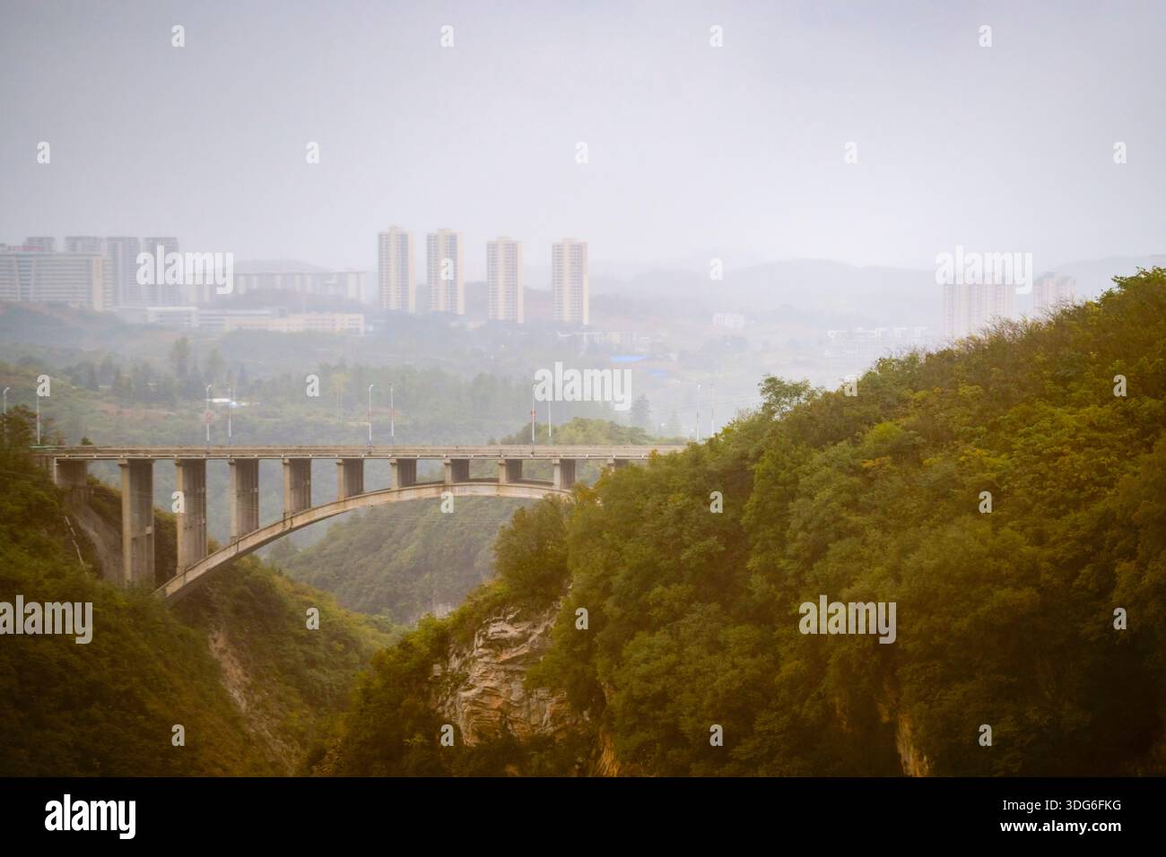 Misty urban view of a bridge spanning a lush green canyon with distant ...
