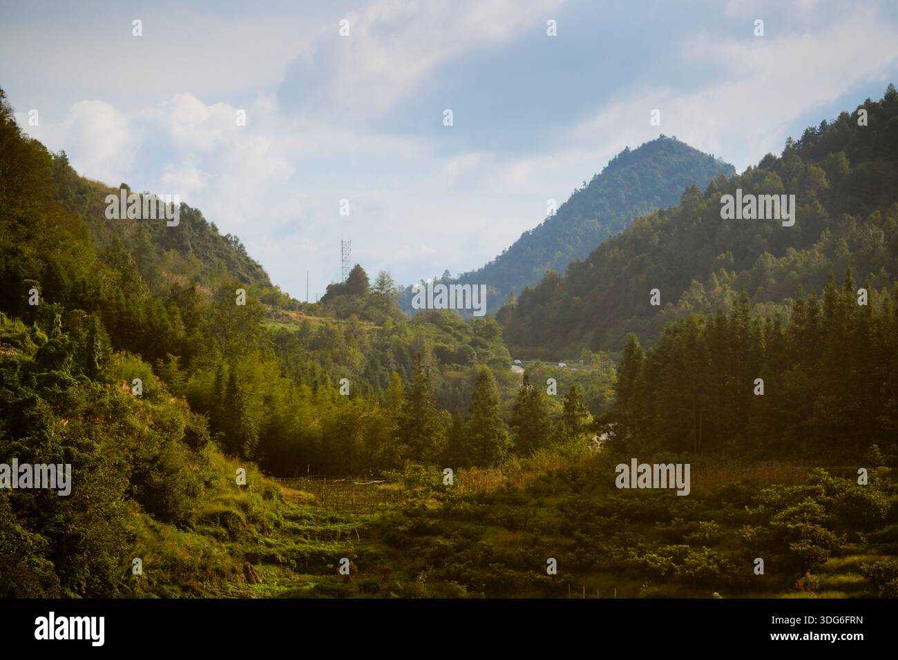 Scenic mountain landscape with lush greenery and distant peaks under a ...