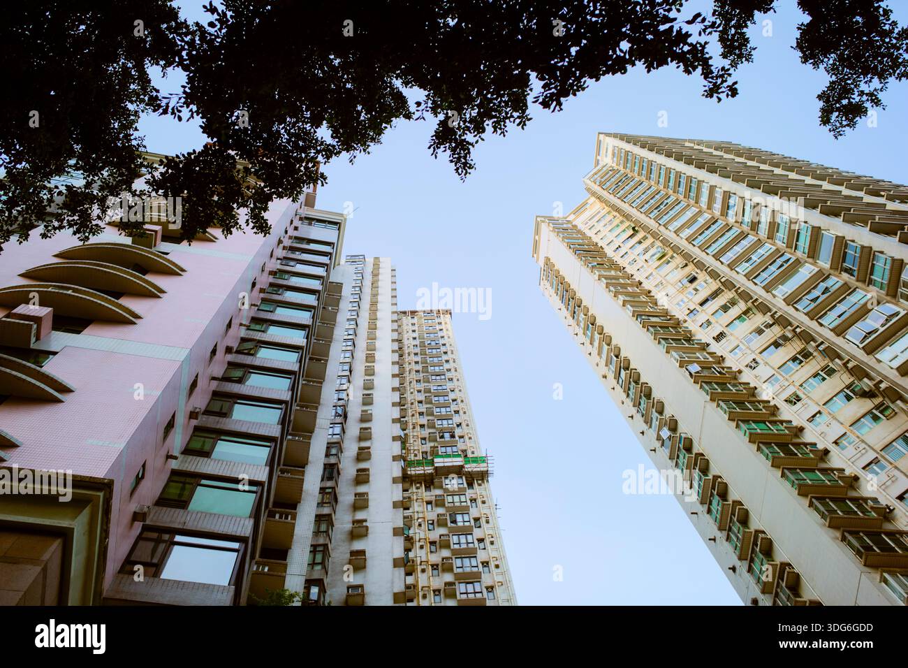 Tall skyscrapers tower against a clear blue sky with tree leaves in the ...