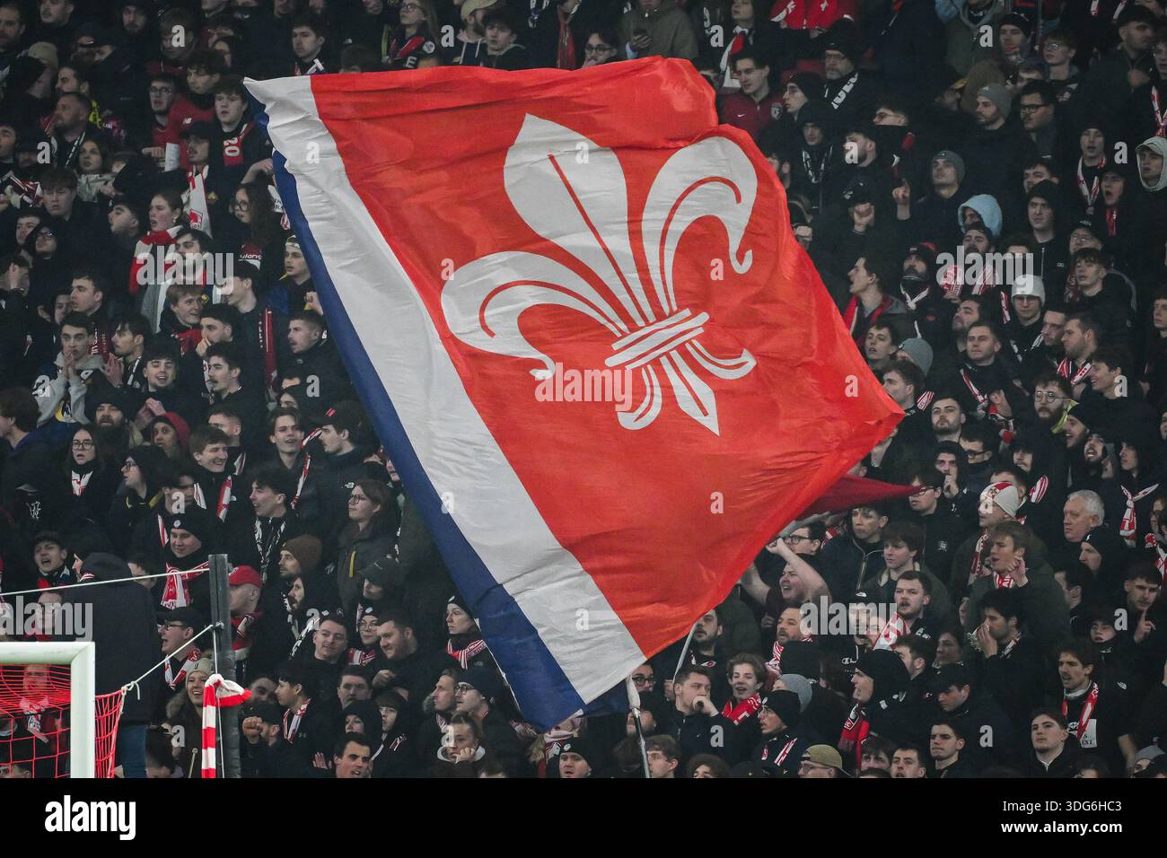 Supporters of Lille during the French Cup, round of 32 football match ...