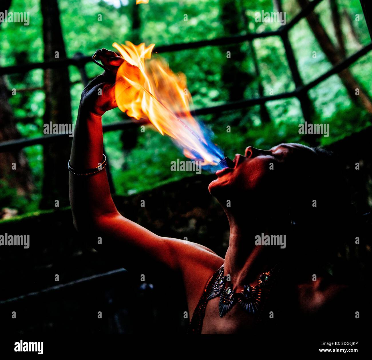 Performer breathes fire in a forest setting, surrounded by lush ...
