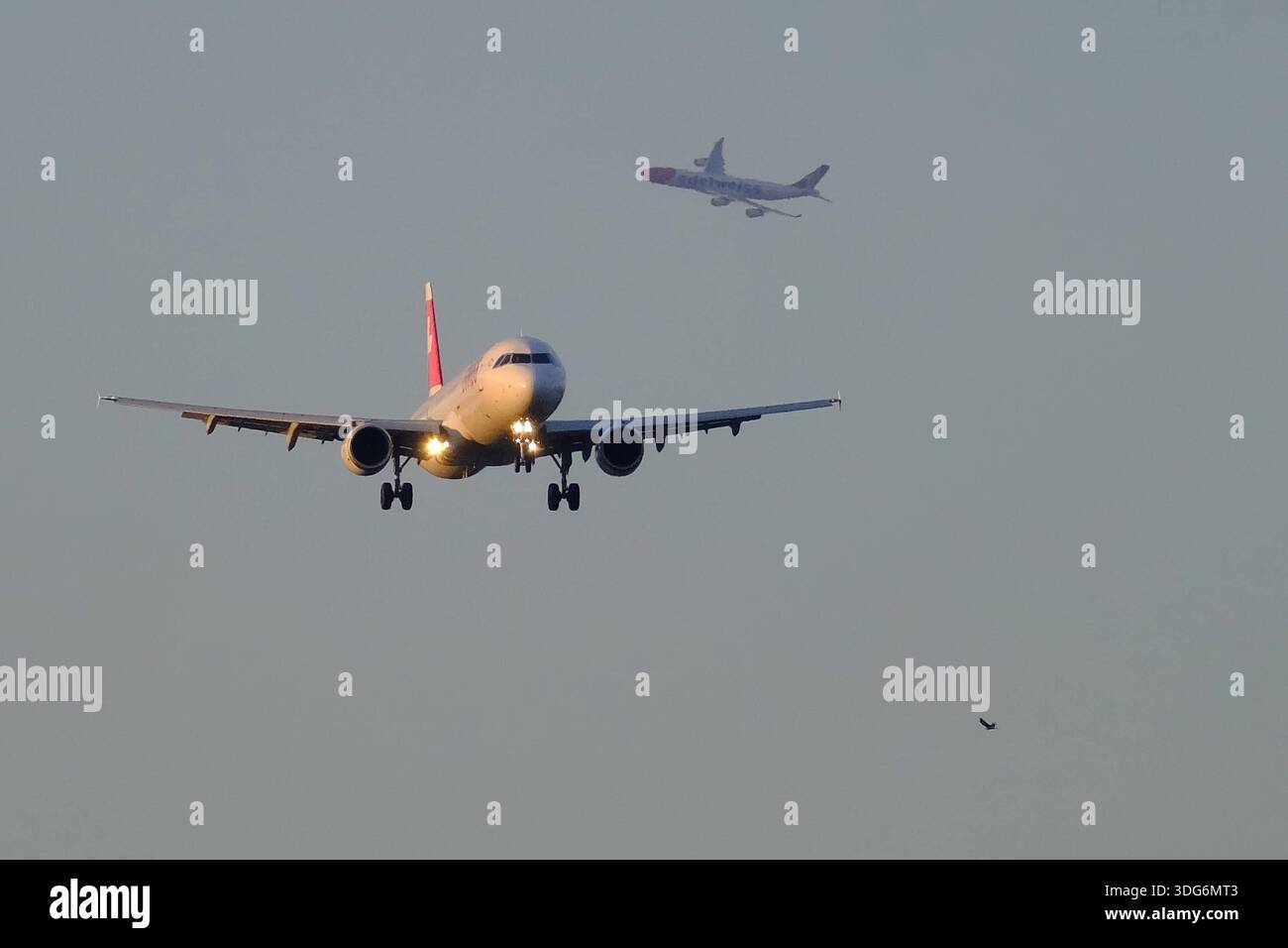 RECORD DATE NOT STATED HB-JMD - Airbus A340-313 - Edelweiss tracks HB ...