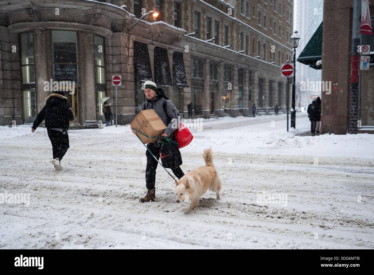 A pedestrian crosses King Street East amid heavy snowfall and ...